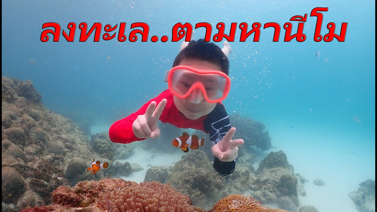 NOAH & NEO พาเที่ยว EP8 : ดำน้ำแสมสาร..ไปดูนีโม กันครับ - YouTube