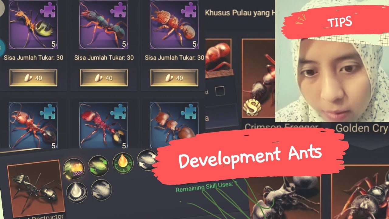 Development Ants | The Ants Underground Kingdom - YouTube