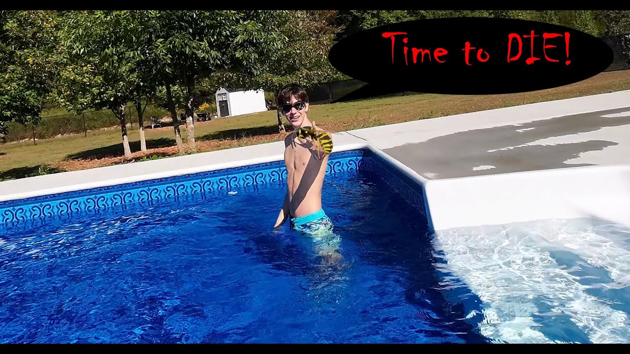 Pool Fun, swimming, splashing and WASP HUNTING! - YouTube