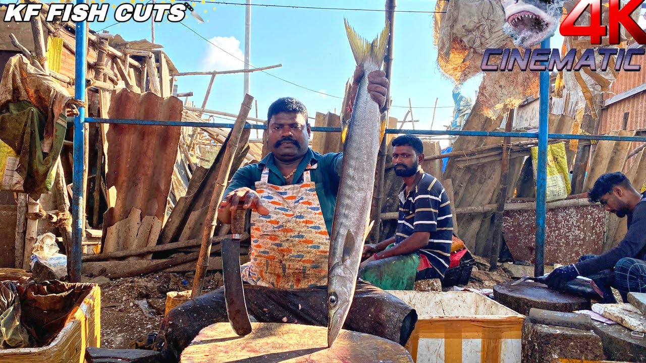 KASIMEDU BULLET SPEED SELVAM🔪BARACUDA FISH KNOCKOUT SPEED CUTTING ...