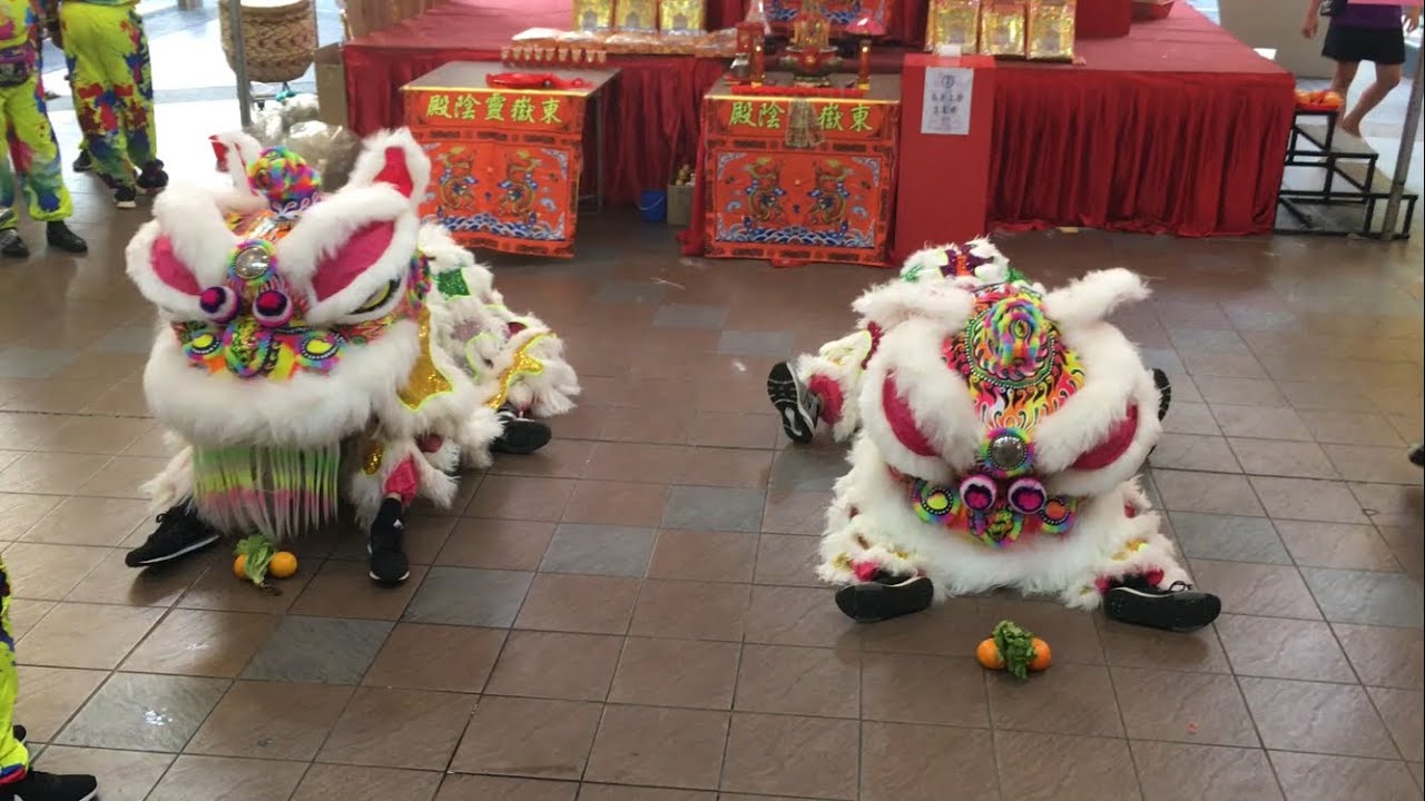 天興體育會 Tian Heng Lion Dance Eye Dotting Ceremony at Dong Yue Ling Yin ...