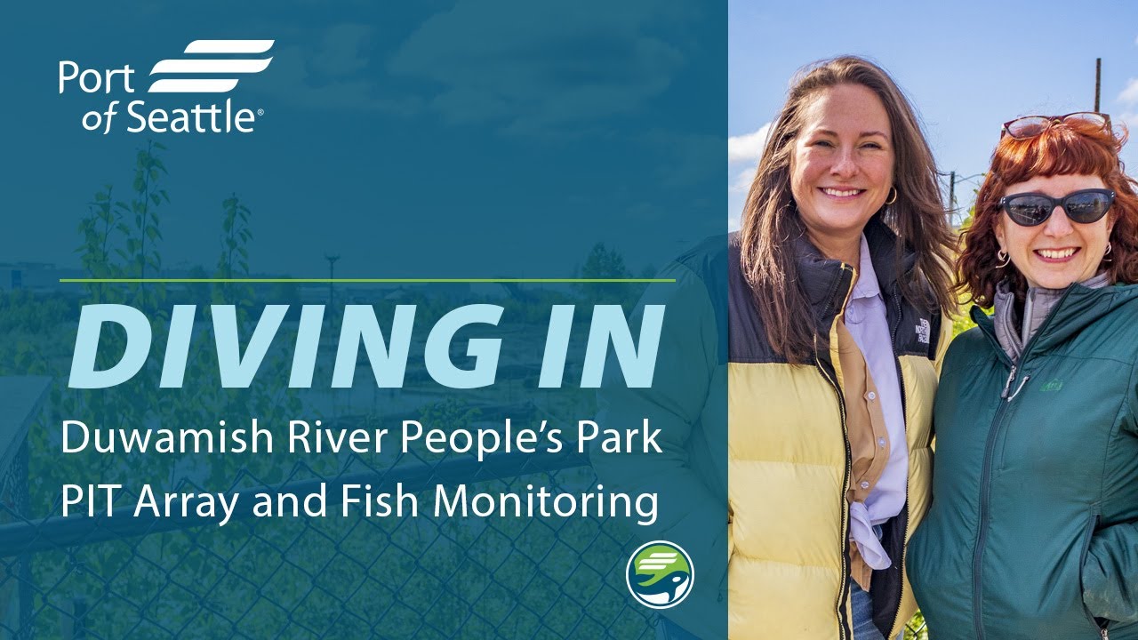 Diving In | Duwamish River People's Park and Shoreline Habitat PIT ...