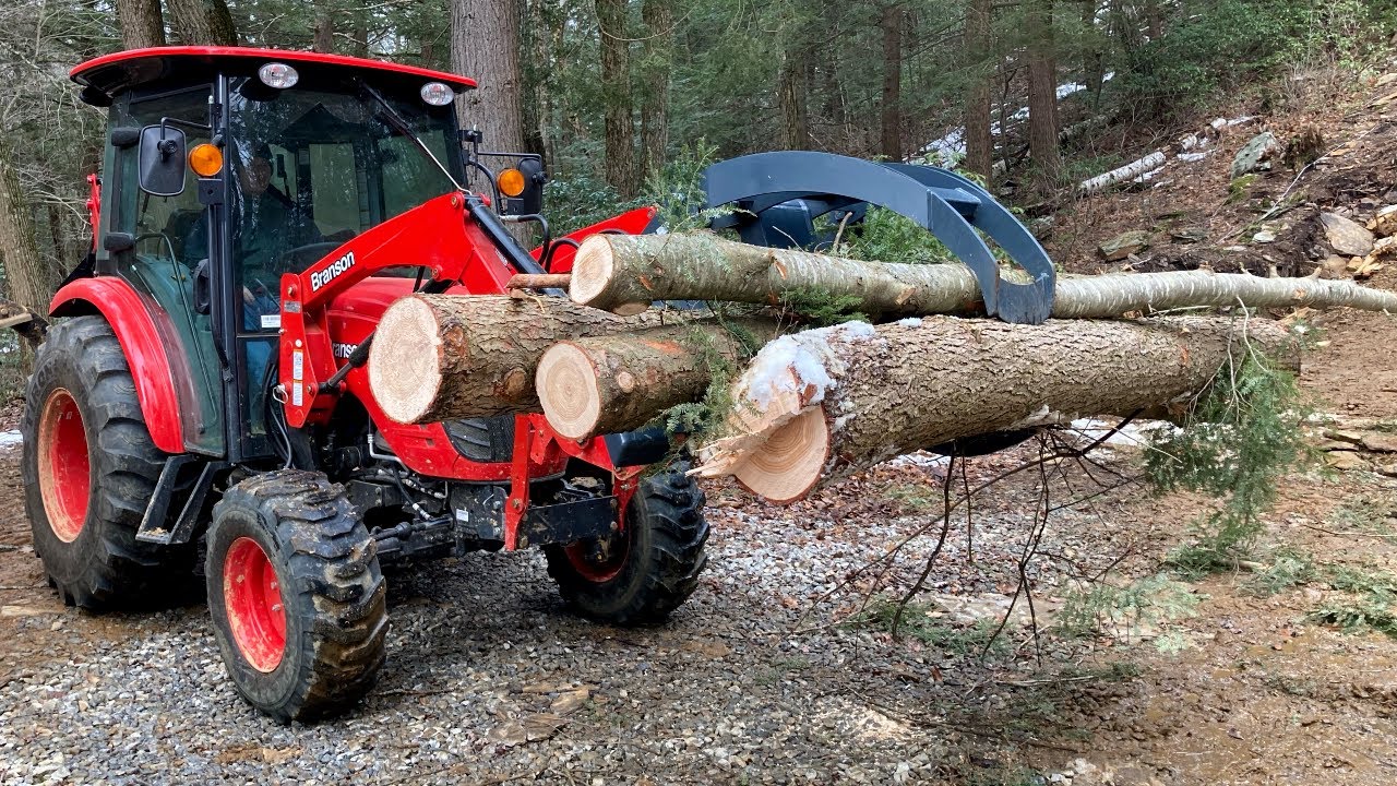 Cutting Down Trees & Moving Logs With the Tractor - YouTube
