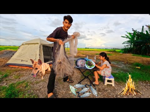 Camping in the rice fields with my daughter | Catching fish and cooking local dishes 