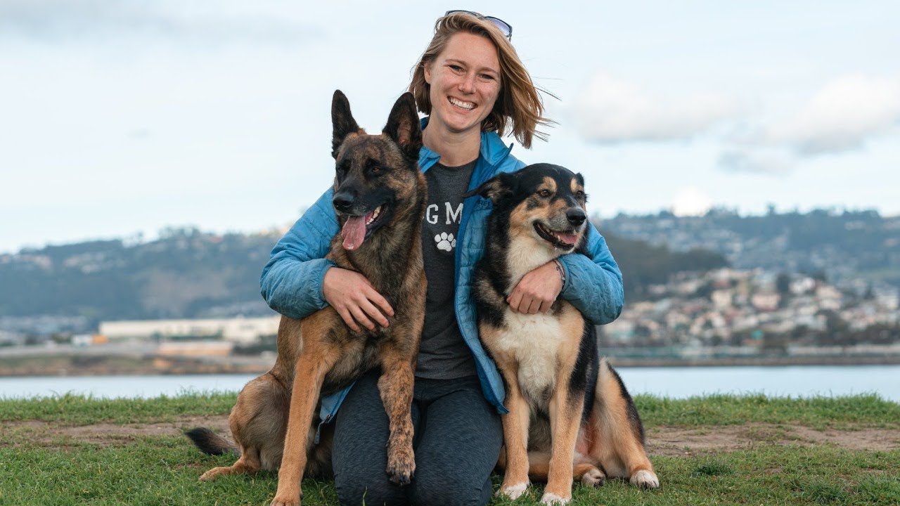 Dog Talk with Heather Lowell: Aggression in Dogs - YouTube