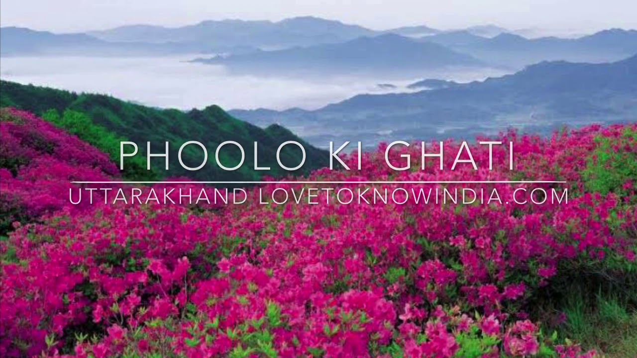 Uttarakhand Phoolo ki ghati Valley of flowers - UK India - YouTube