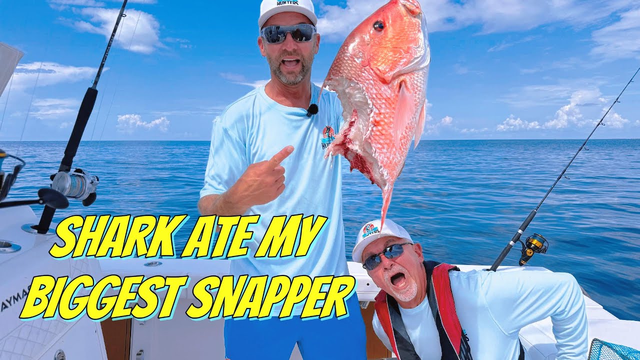 Sharks ATE My Biggest Snapper Ever! | 9 Species in One Epic Destin ...