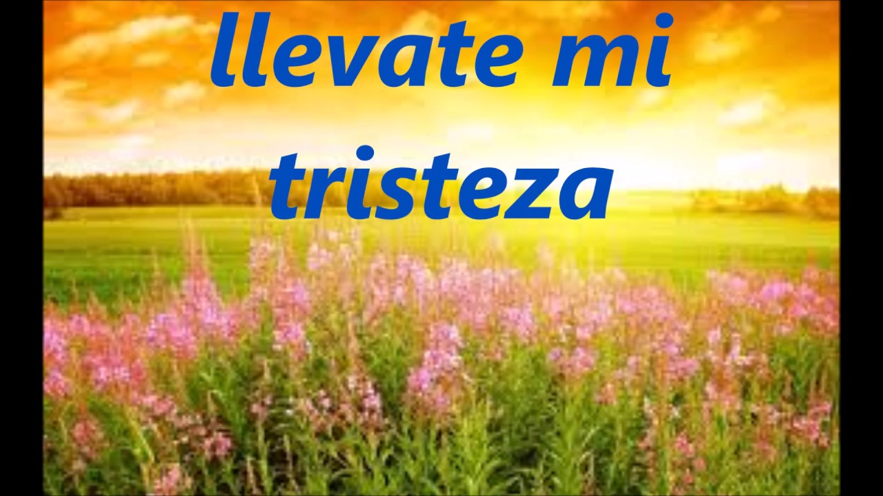 LLEVATE MI TRISTEZA---PISTA - YouTube