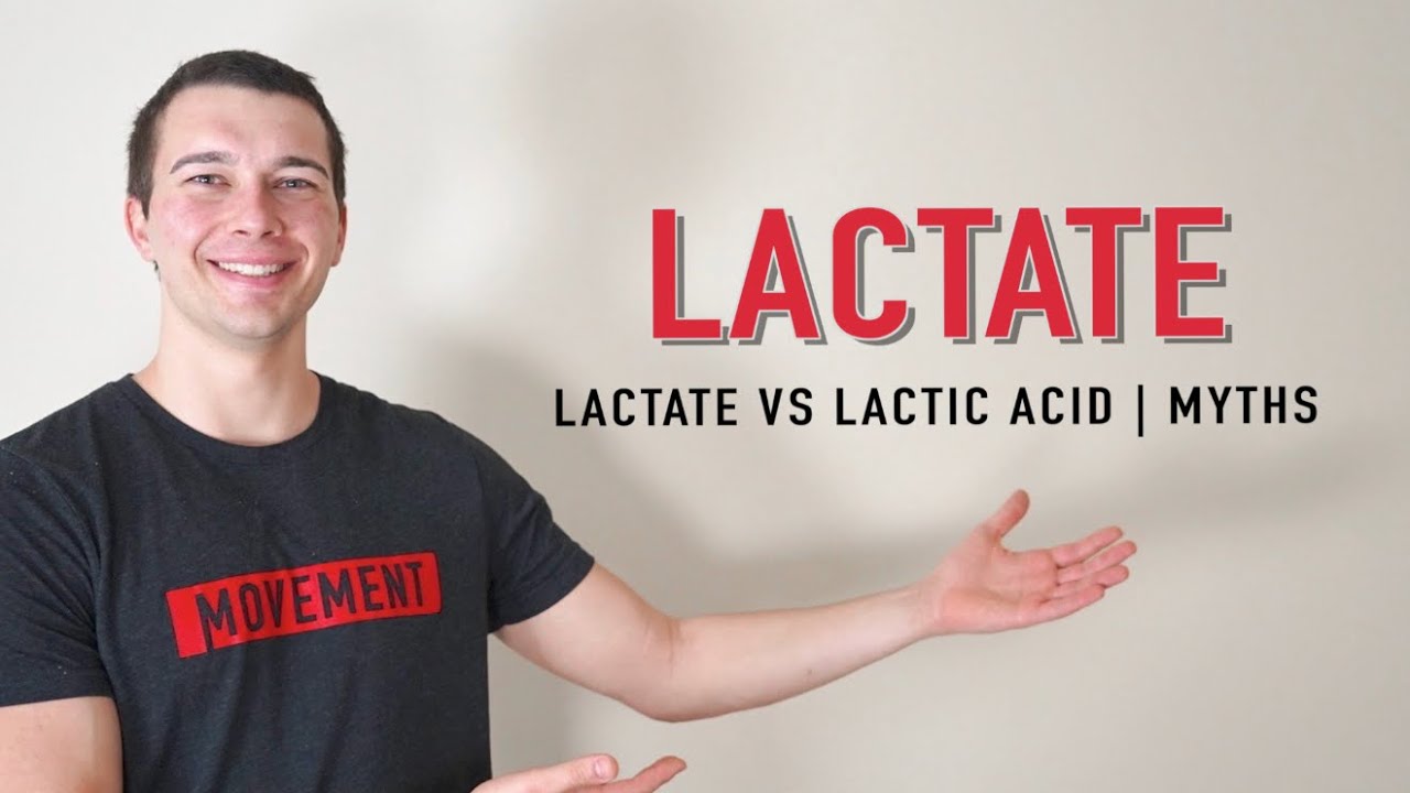 Lactate vs. Lactic Acid Explained | Muscle Physiology - YouTube