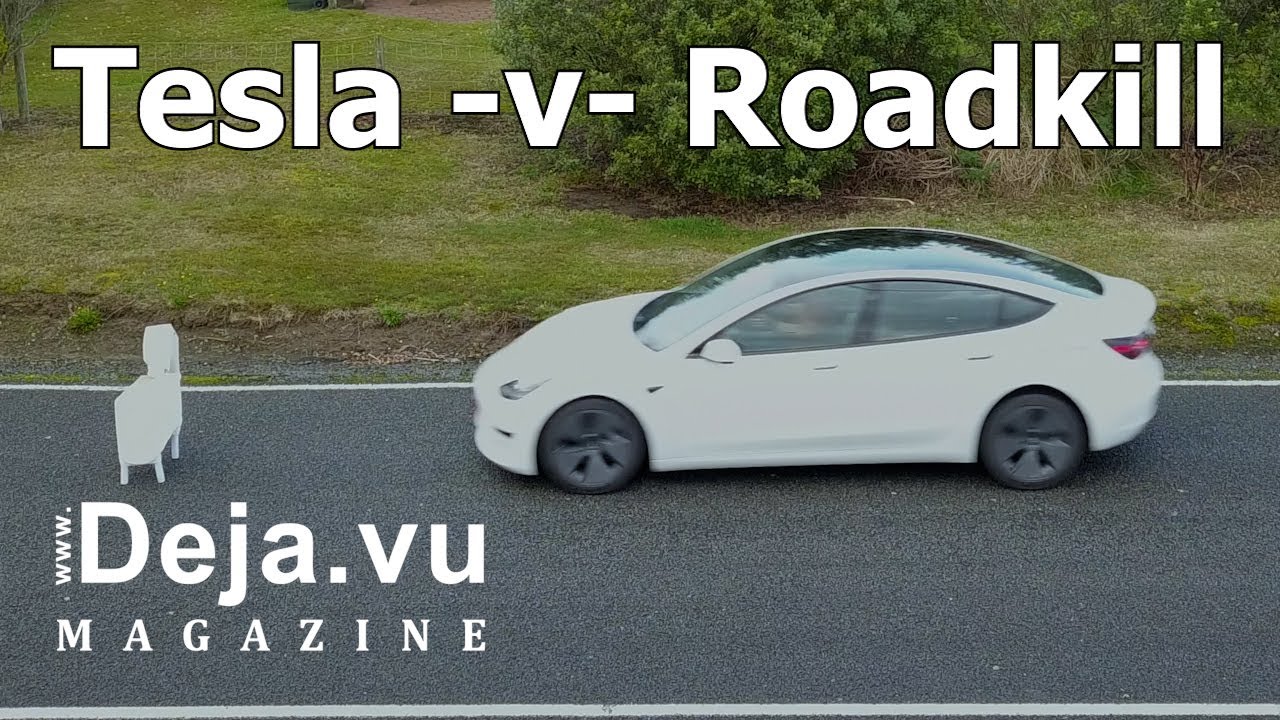 Tesla -v- Roadkill. Will the Model 3 stop in time for a sheep? - YouTube