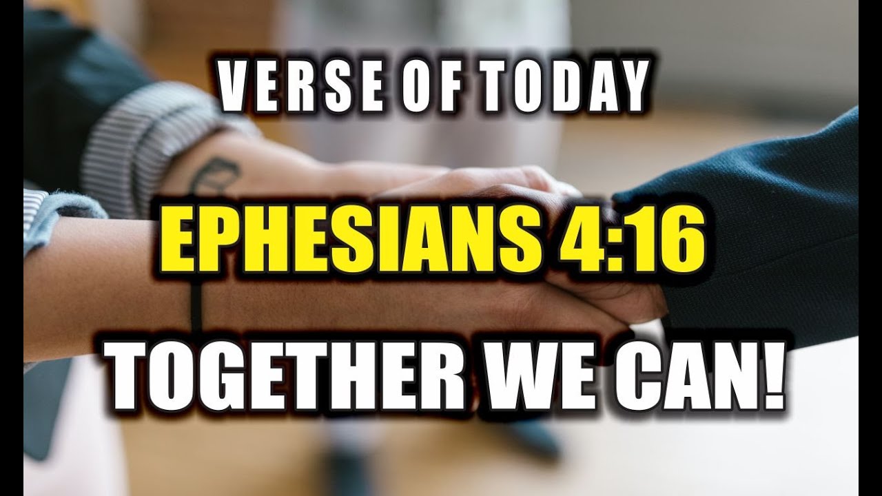 Bible Verse Of The Day: Ephesians 4:16 - Building the Body of Christ ...