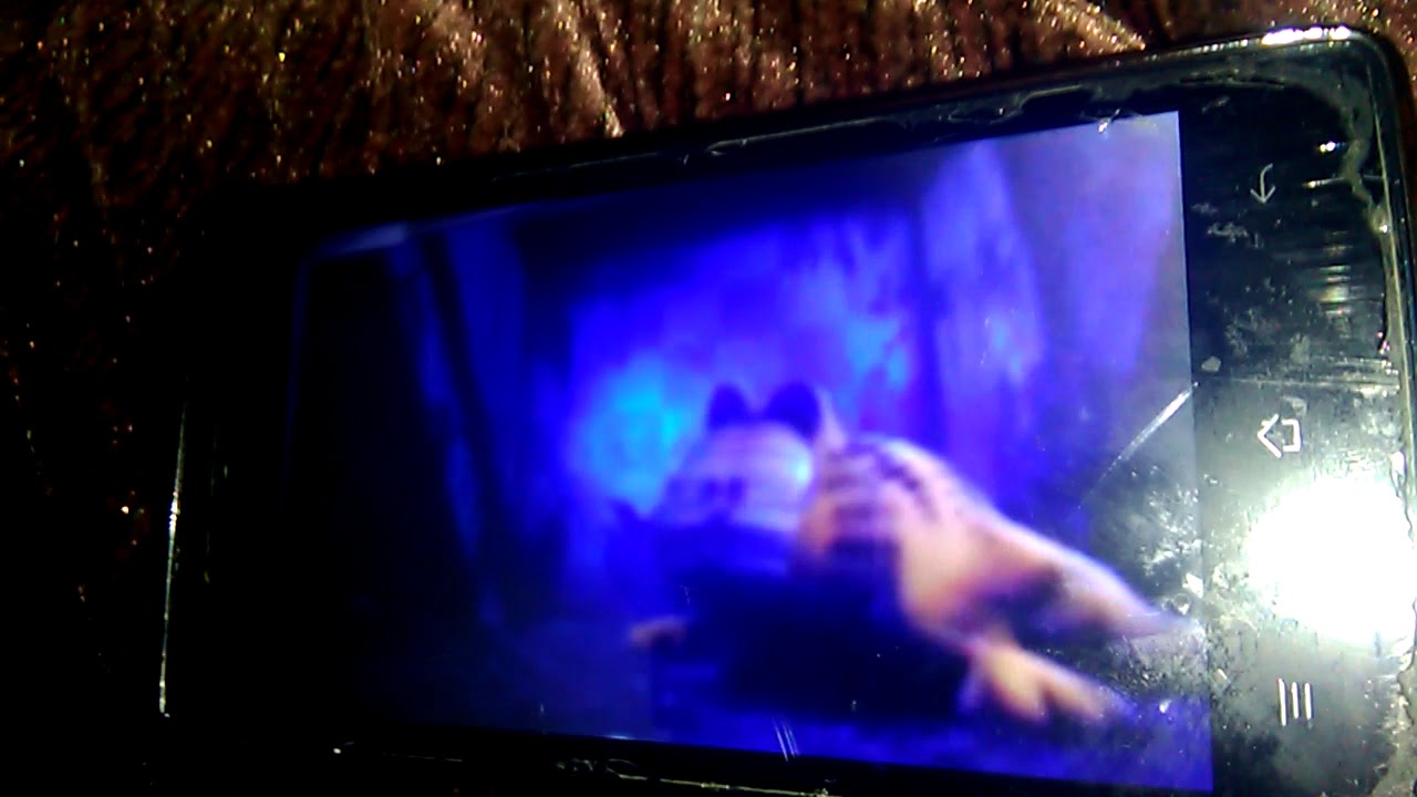 Garfield Gets Real Shecky And Steggo - YouTube