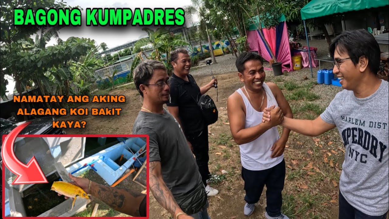 BAGONG KUMPADRE(BAKIT NAMATAY ANG AKING MGA ALAGANG KOI? - YouTube