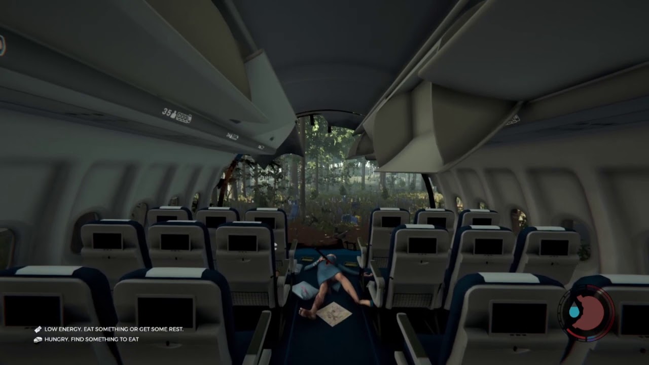 The Forest - Plane Crash Scene and Captured by Mutants (2020) 1080p HD ...