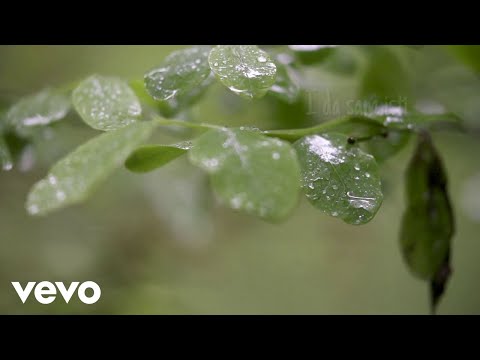 Vice Vukov - Pismo Ćali