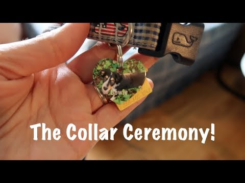 The Collar Ceremony! - YouTube
