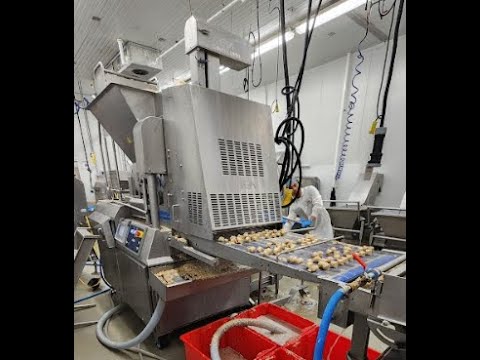 GEA 600 Food Forming Meat Ball Line - M&M Equipment / M&M Auctions ...