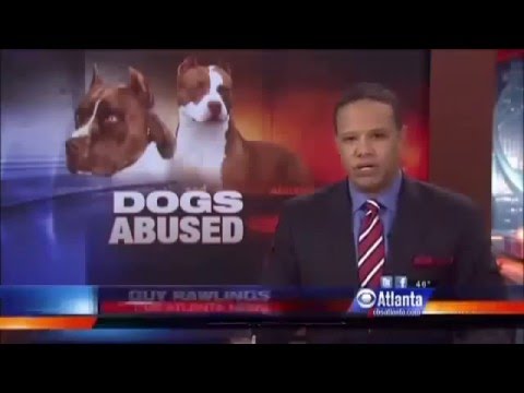 BESTIALITY - Man Sexually Abuses Neighbor's Dogs In Atlanta Georgia