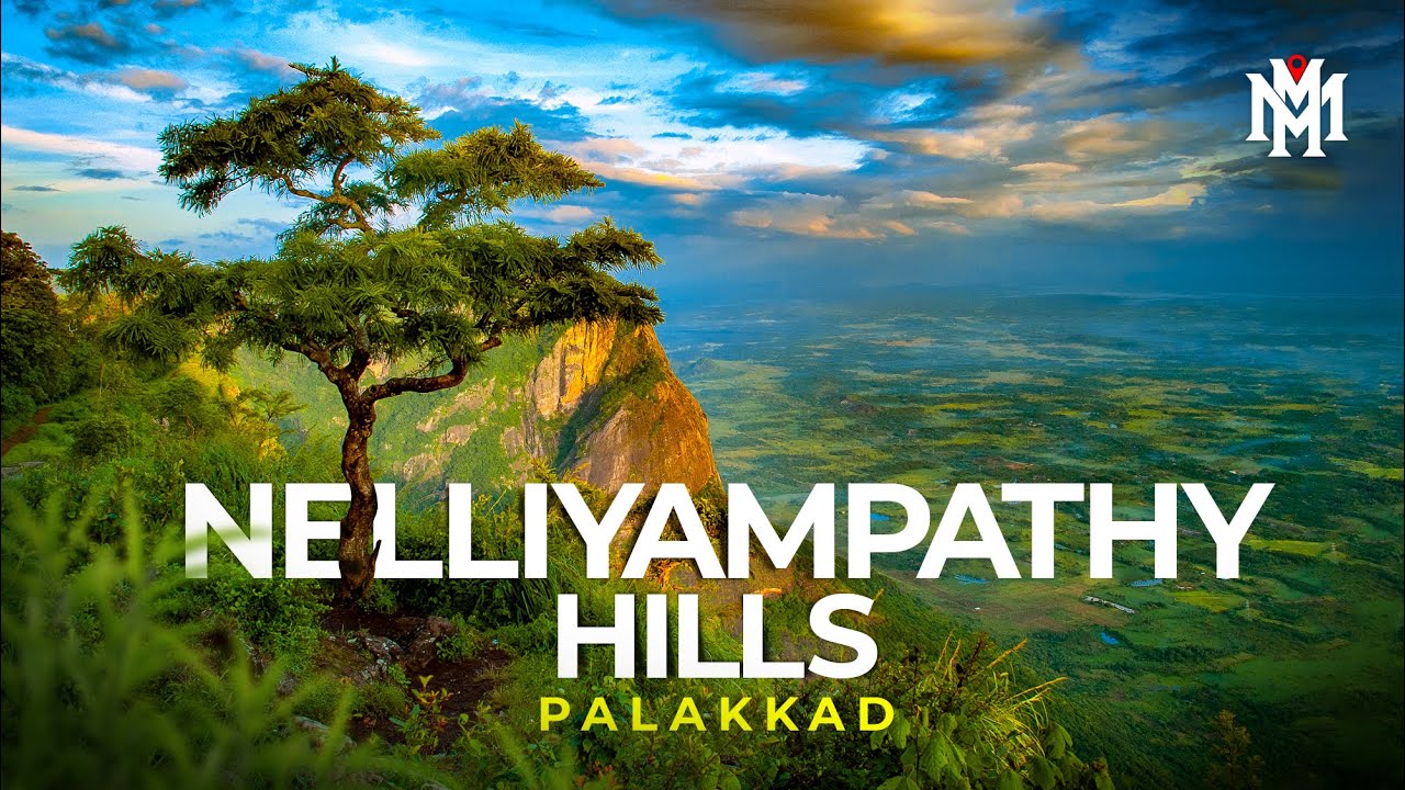 Nelliyampathy Hills, Palakkad | Seetharkundu Viewpoint | Pothundi Dam ...