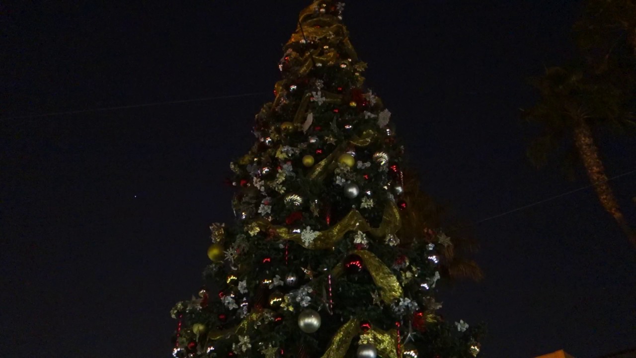 Paramount Tree Lighting 2016 - YouTube