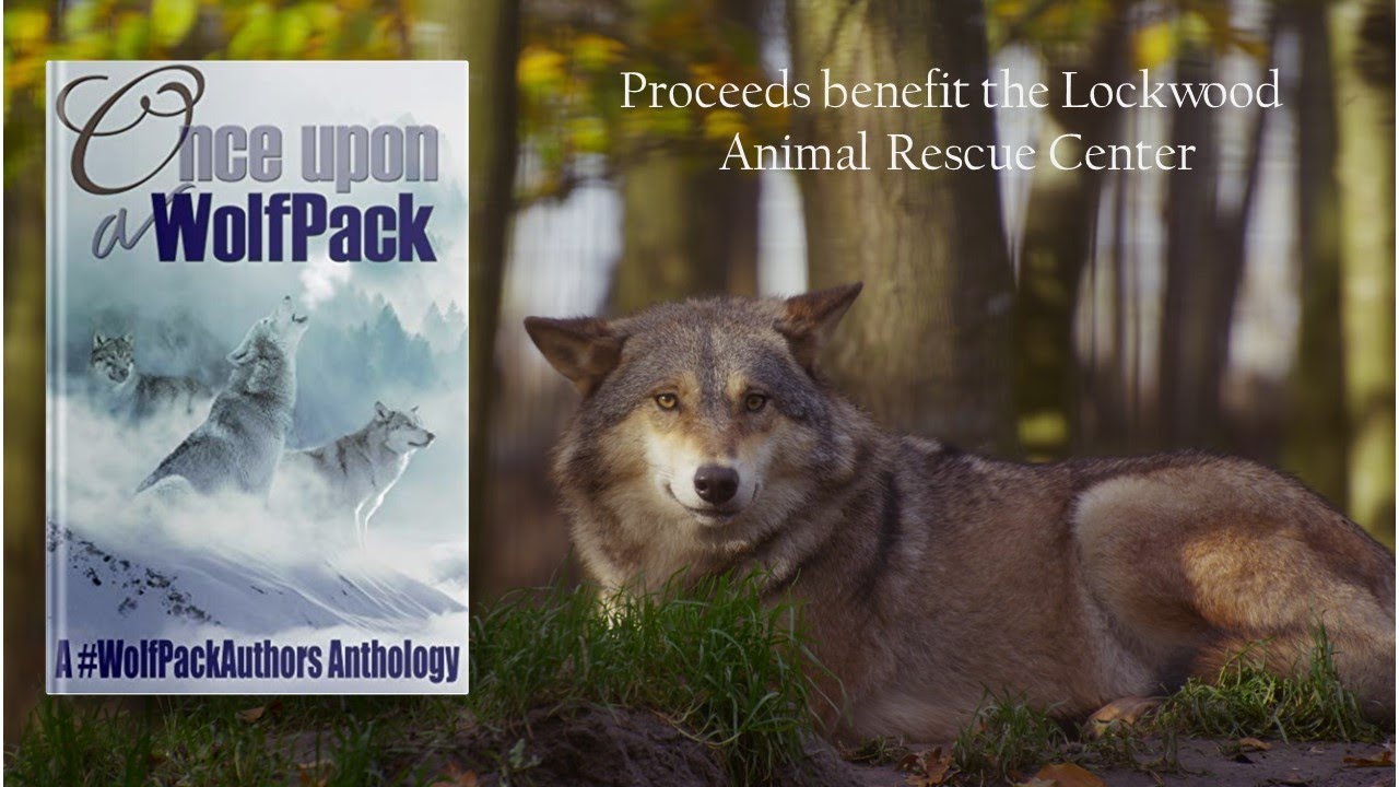 Once Upon a Wolf Pack with Jeff DeMarco and Zee Gottlieb - YouTube