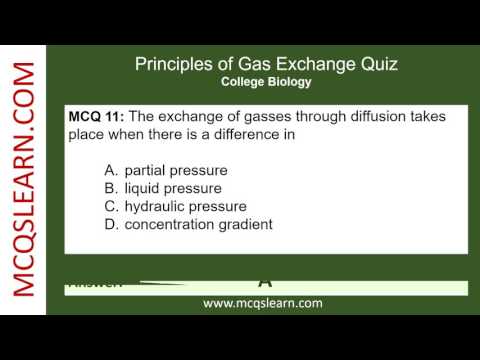 Principles of Gas Exchange Quiz Questions & Answers | Gas Exchange ...