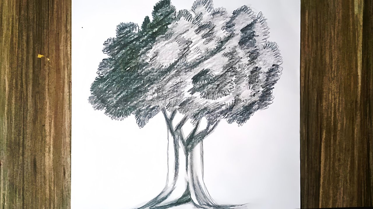 How to draw a realistic tree || Easy drawing step by step || In shading ...