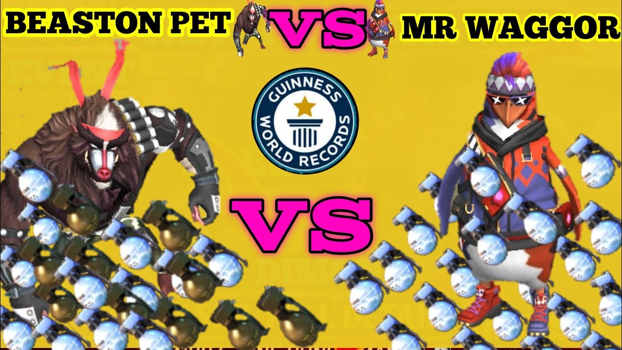 BEASTON PET VS MR WAGGOR PET FULL COMPITITION | UNLIMITED GLOO WALL ...