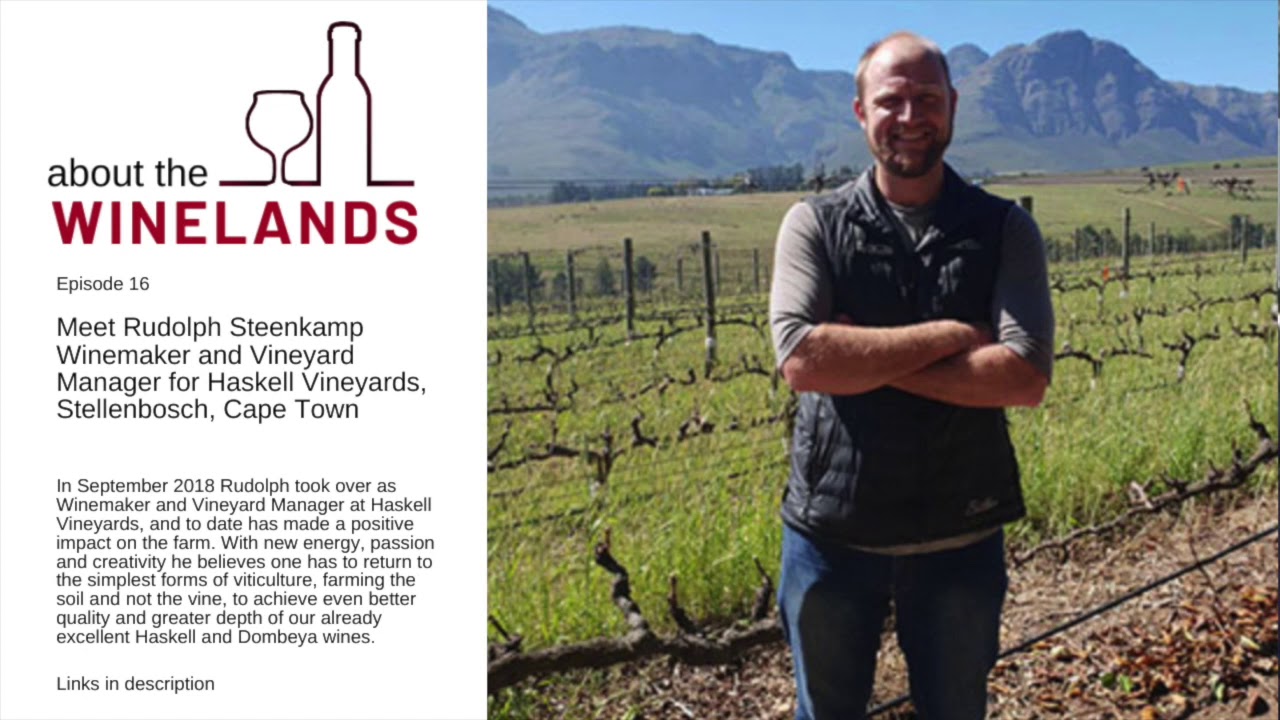 ABOUT THE WINELANDS #16 - Meet Rudolph Steenkamp, Winemaker and ...