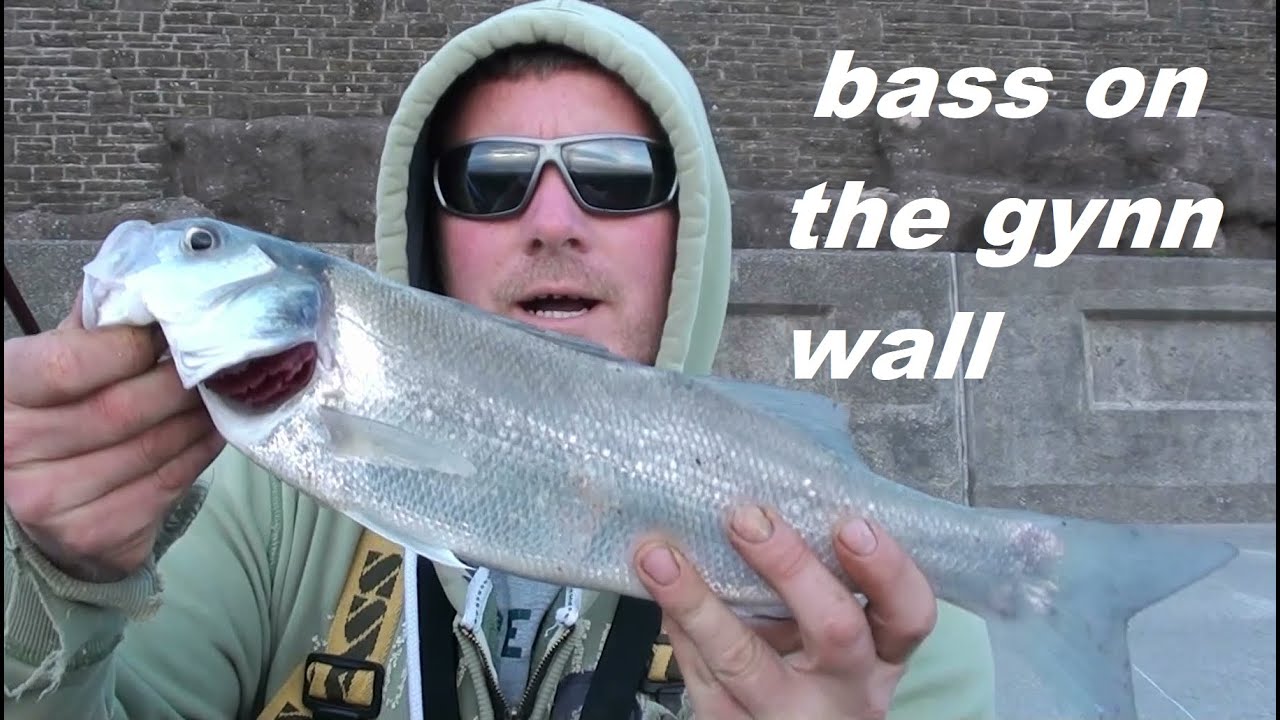 fishing on the gynn wall - YouTube