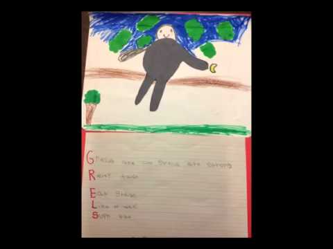 2nd Grade Gorilla Poem - YouTube