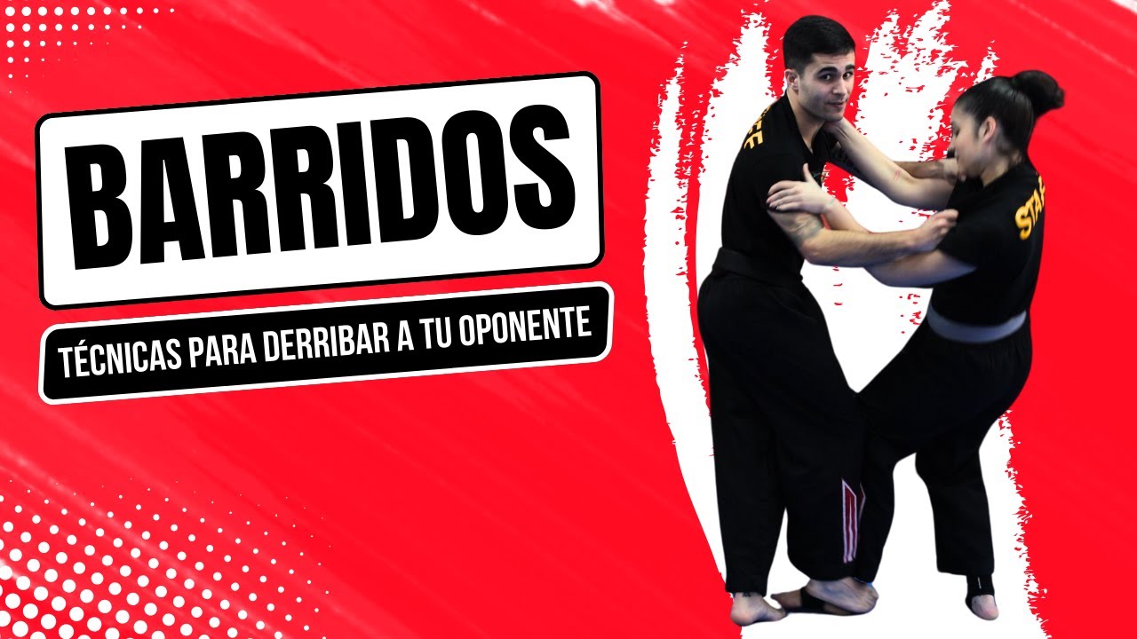 Tipos de Barridos para derribar a tu oponente - YouTube