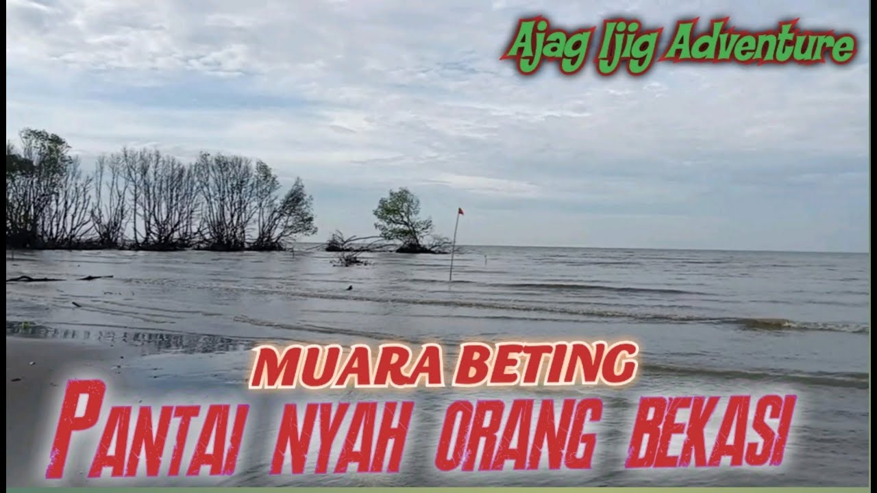 Ajag Ijig Pantai Muara Beting - Destinasi tempat wisata dibekasi ...