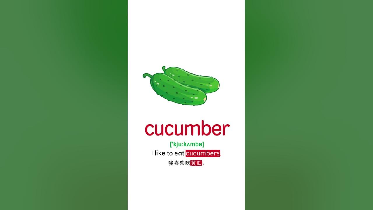 155 启蒙单词|第三百五十集|黄瓜 Cucumber 学英语 零基础学英语 英语学习 Youtube