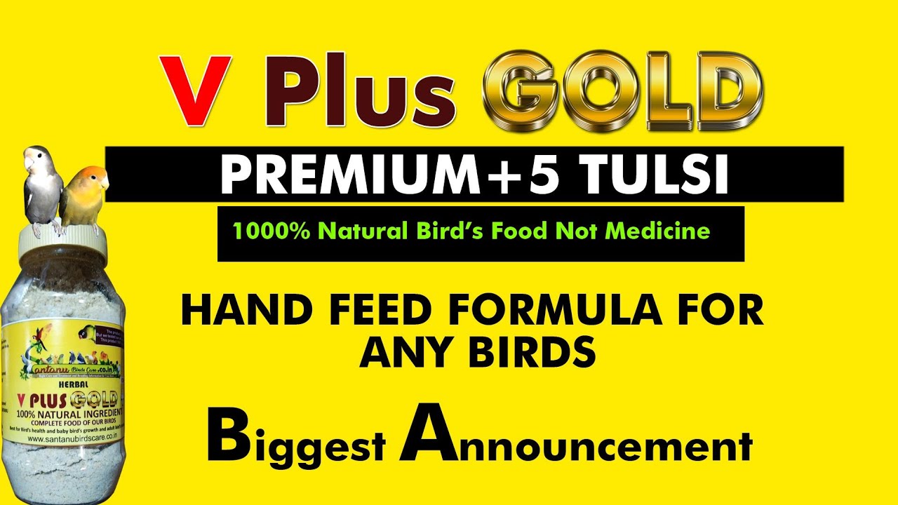 V Plus Biggest Announcement For All V Plus User? V Plus Gold Premium +5 ...