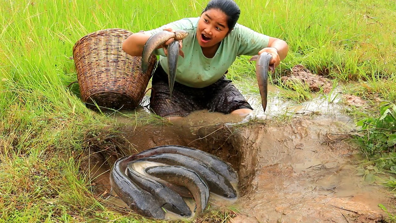 Women Catch Fish In water by Trap & Cooking Fish for Lunch food ideas ...