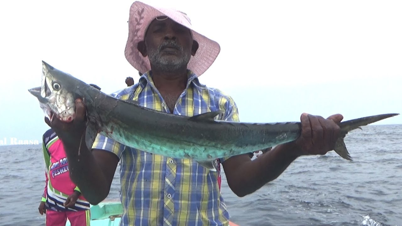 Back to Back Kingfish Fishing in Speed Trolling - YouTube