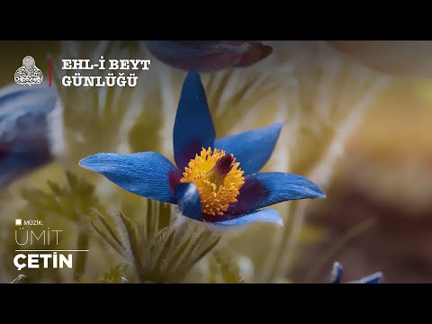 Ehlibeyt Günlüğü: ‘Bizlere süs olun, utanç sebebi değil’