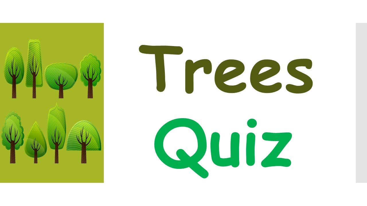 English Trees Quiz - YouTube