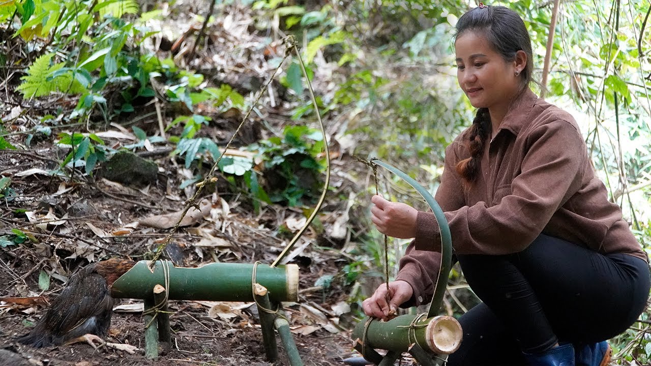 Go to the forest to pick bamboo shoots, How to make bamboo traps, wild ...