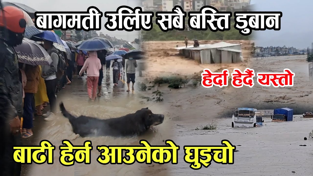 बागमती उर्लिए सबै बस्ति डुबानमा / बाढी हेर्न आउनेको घुइचो हेर्दा हेर्दै ...