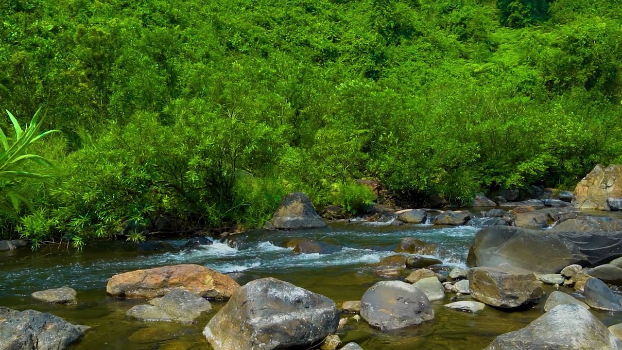 Nature Symphony - Peaceful Relaxation Music heals stress and depression ...