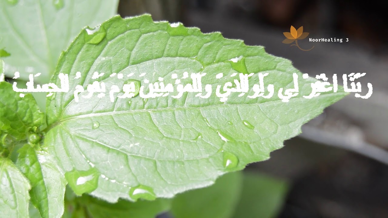 HEALING QURAN SURAH IBRAHIM Recited by Sheikh Ismail Annuri @Noor ...