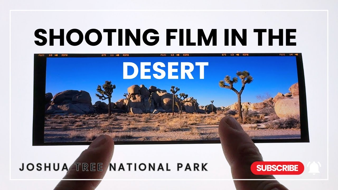 Shooting Panoramic Film Photography In Joshua Tree with The Best Film ...