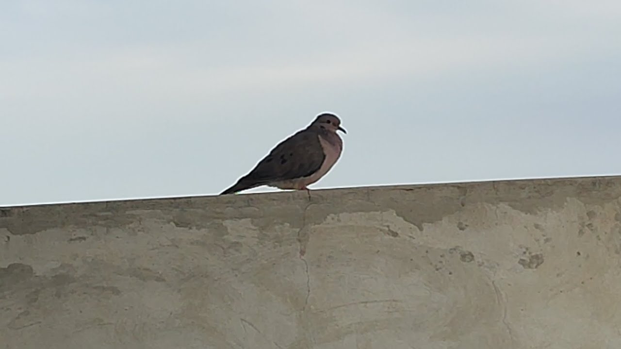 Un chico normal entrenando - YouTube