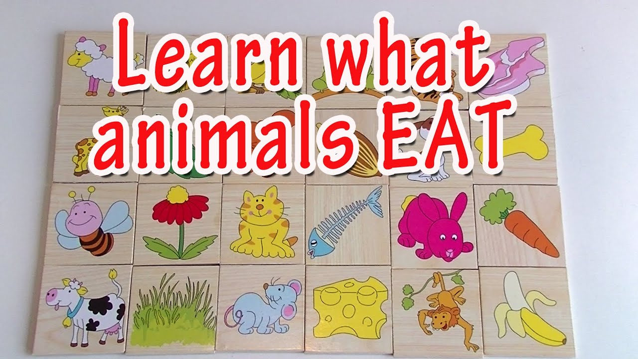 Learn what animals eat, wooden puzzle animals food fun educational ...