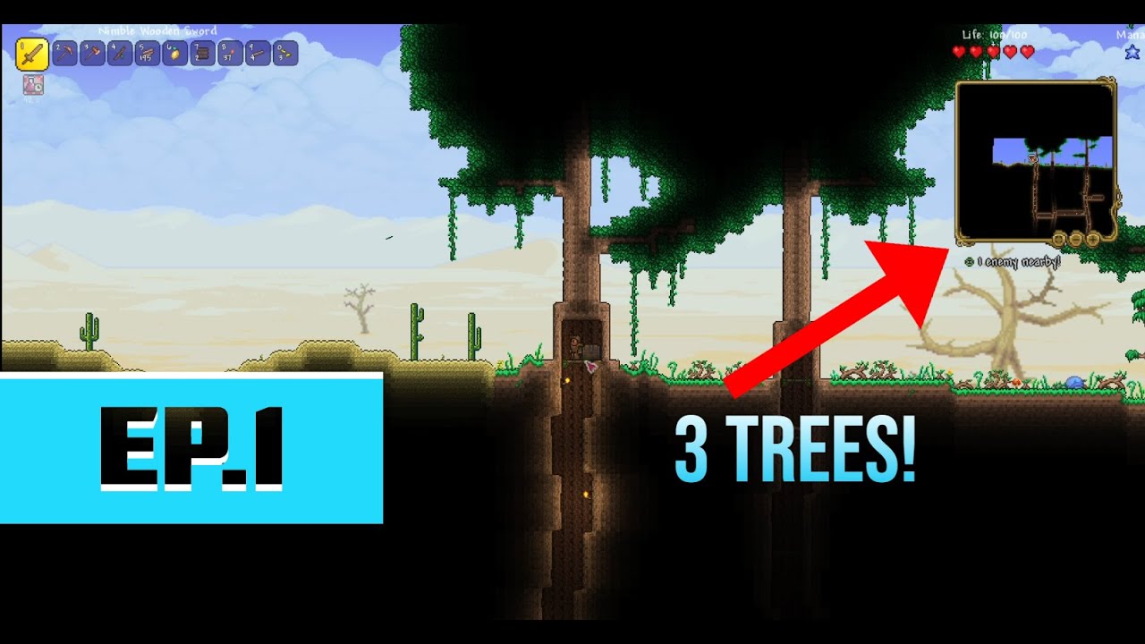 I got the LUCKIEST living tree generation EVER in terraria! | Ep.1 ...
