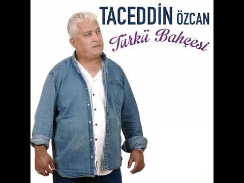 Taceddin Özcan - Koca Dünya Sen nasıl bir dünyasın 2021
