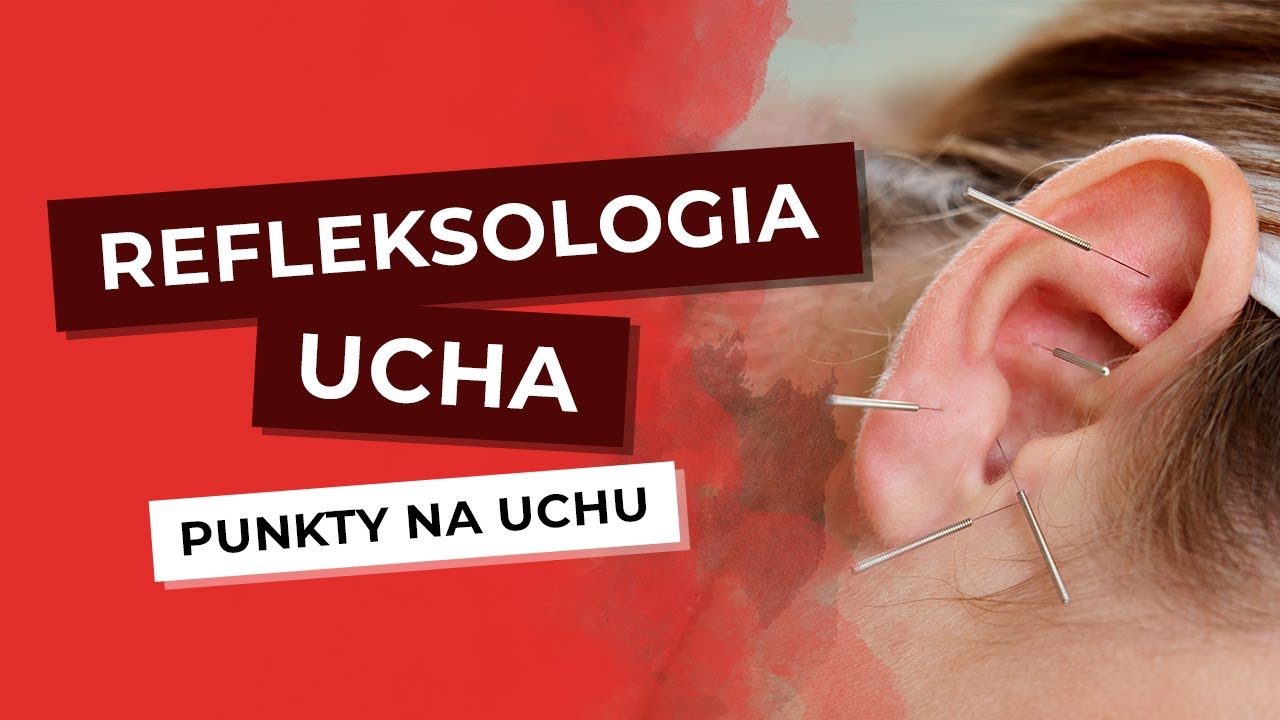 Refleksologia Ucha a Masaż Uszu. Jakie Są Rodzaje Masażu? Jakie Są ...