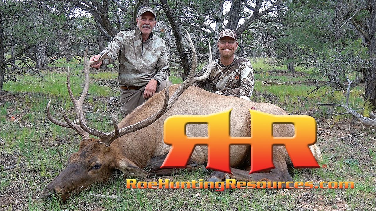 Overcoming Silent, Cautious Bulls; A Calling Strategy for Success - YouTube